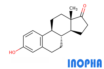 Estrone Price|Buy Estrone Powder Online|Estrone API Manufacturers ...