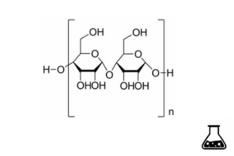 Corn Starch Structure