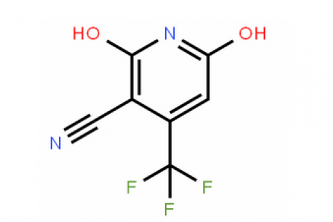 Intermediates | Inopha International Co.,Limited
